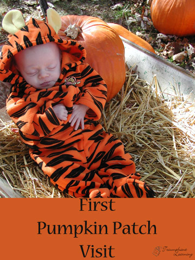 Annual Pumpkin Patch Visit & Recipes - The Multi Taskin' Mom